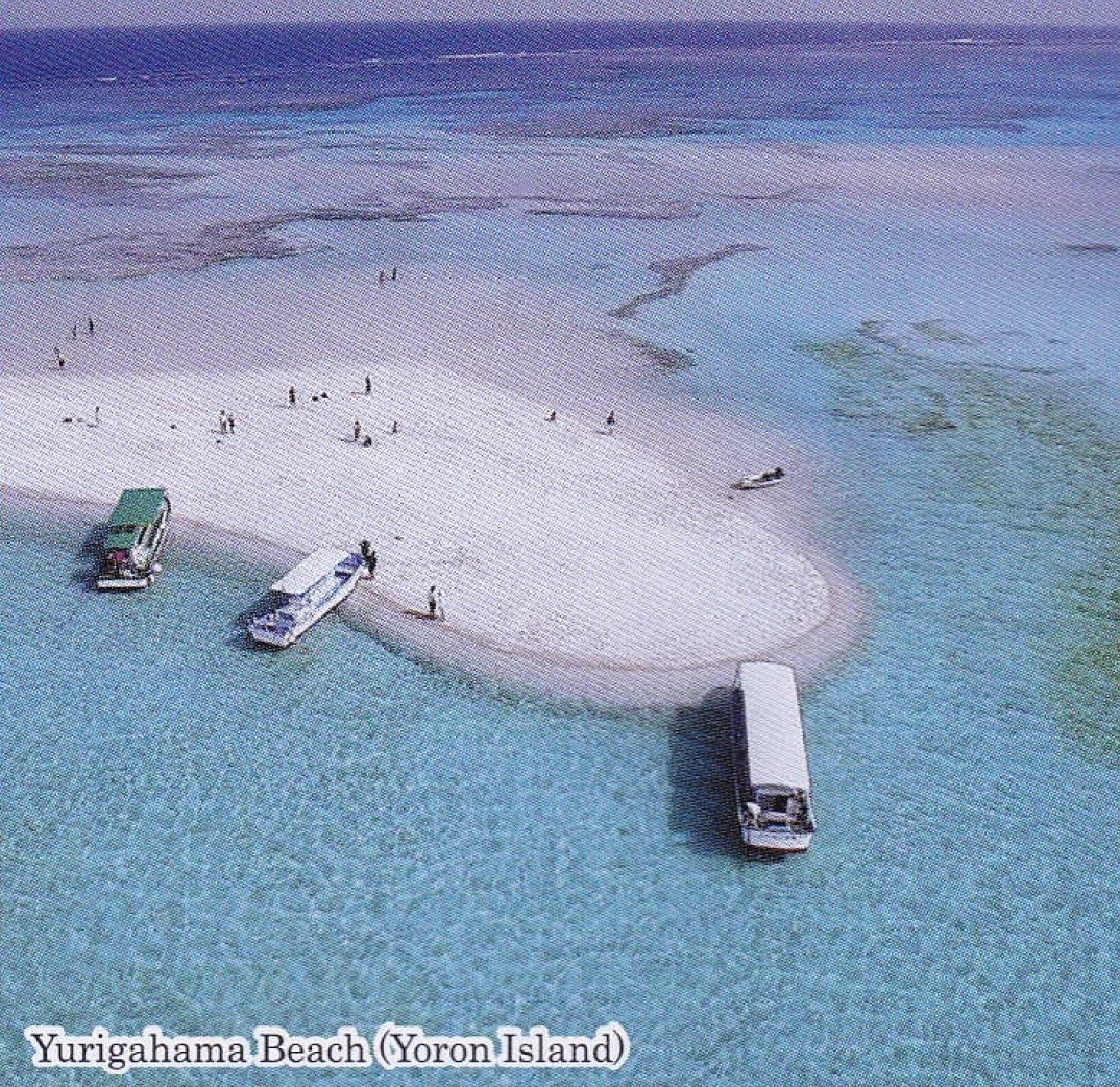 About KAGOSHIMA - Tasty KAGOSHIMA JAPAN